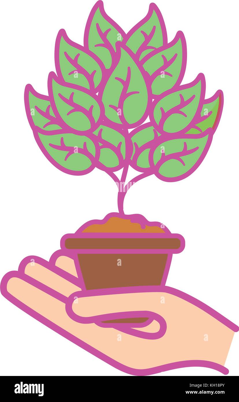 Isolated plant design Stock Vector Image & Art - Alamy