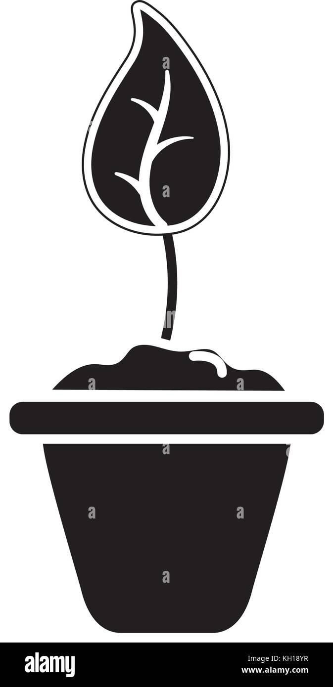 Isolated plant design Stock Vector Image & Art - Alamy