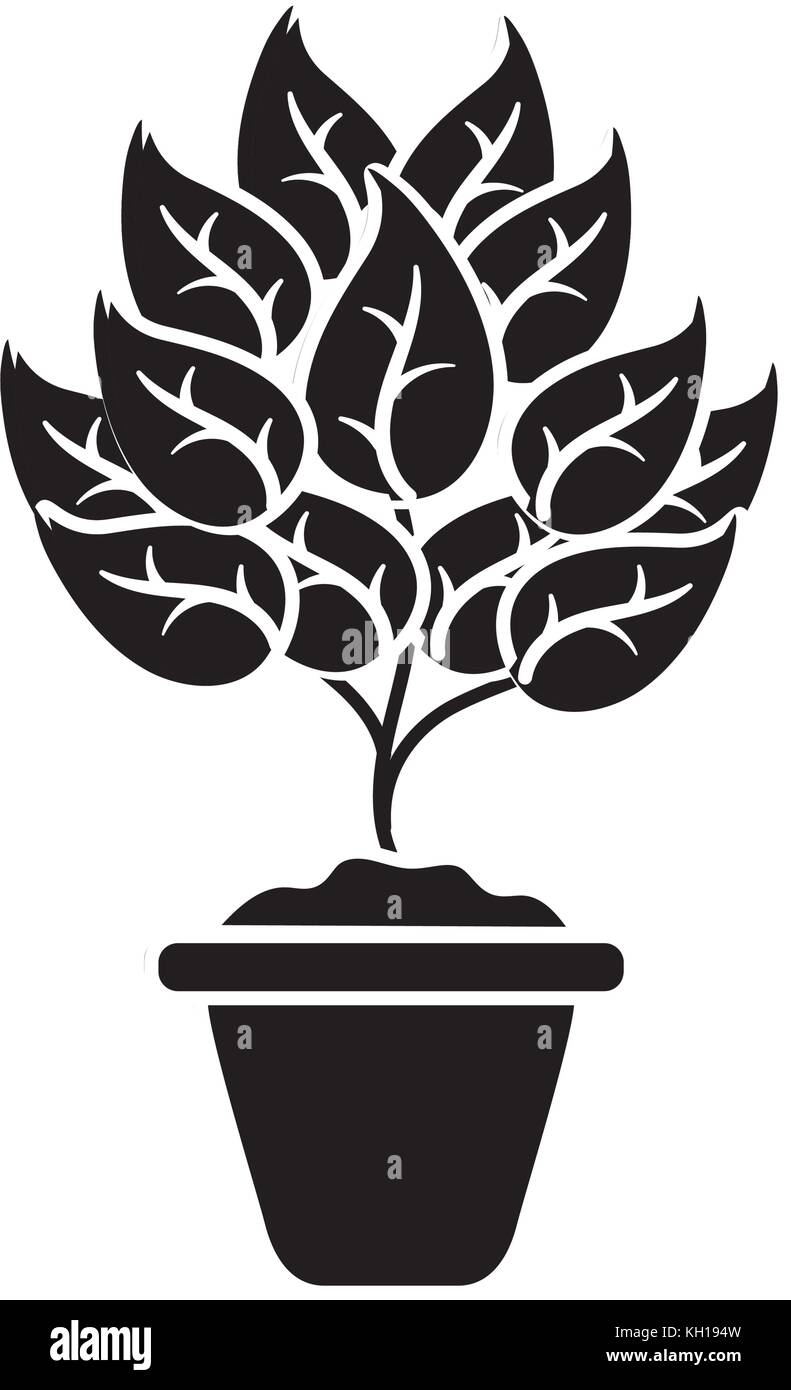 Isolated plant design Stock Vector Image & Art - Alamy