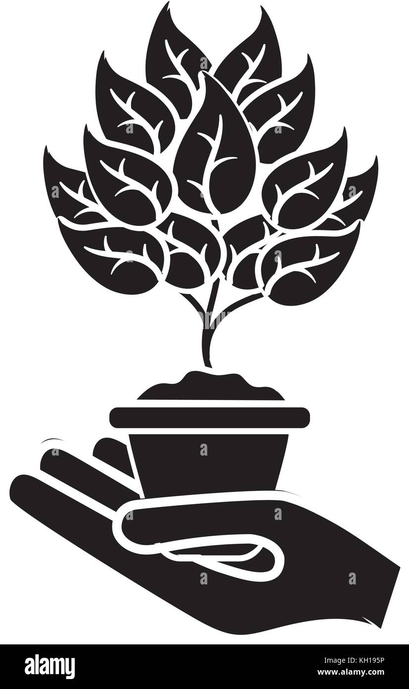 Isolated plant design Stock Vector Image & Art - Alamy