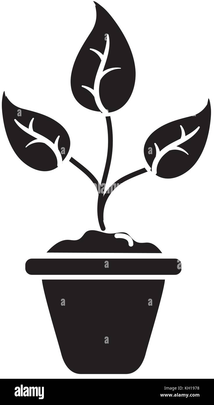 Isolated plant design Stock Vector Image & Art - Alamy