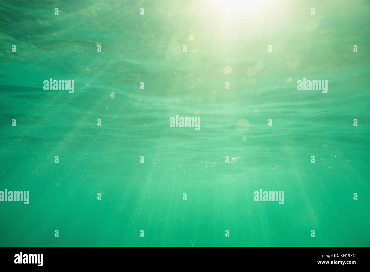 Deep dark ocean underwater hi-res stock photography and images - Alamy