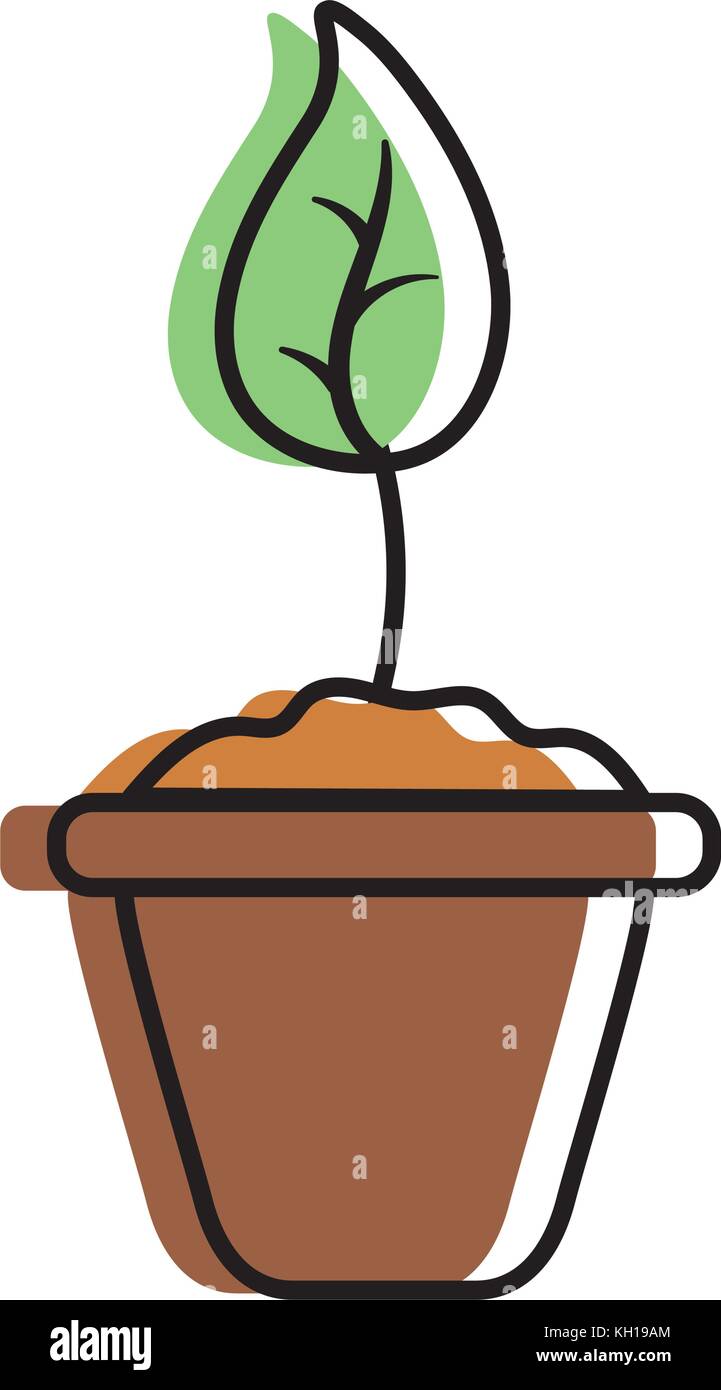 Isolated plant design Stock Vector Image & Art - Alamy