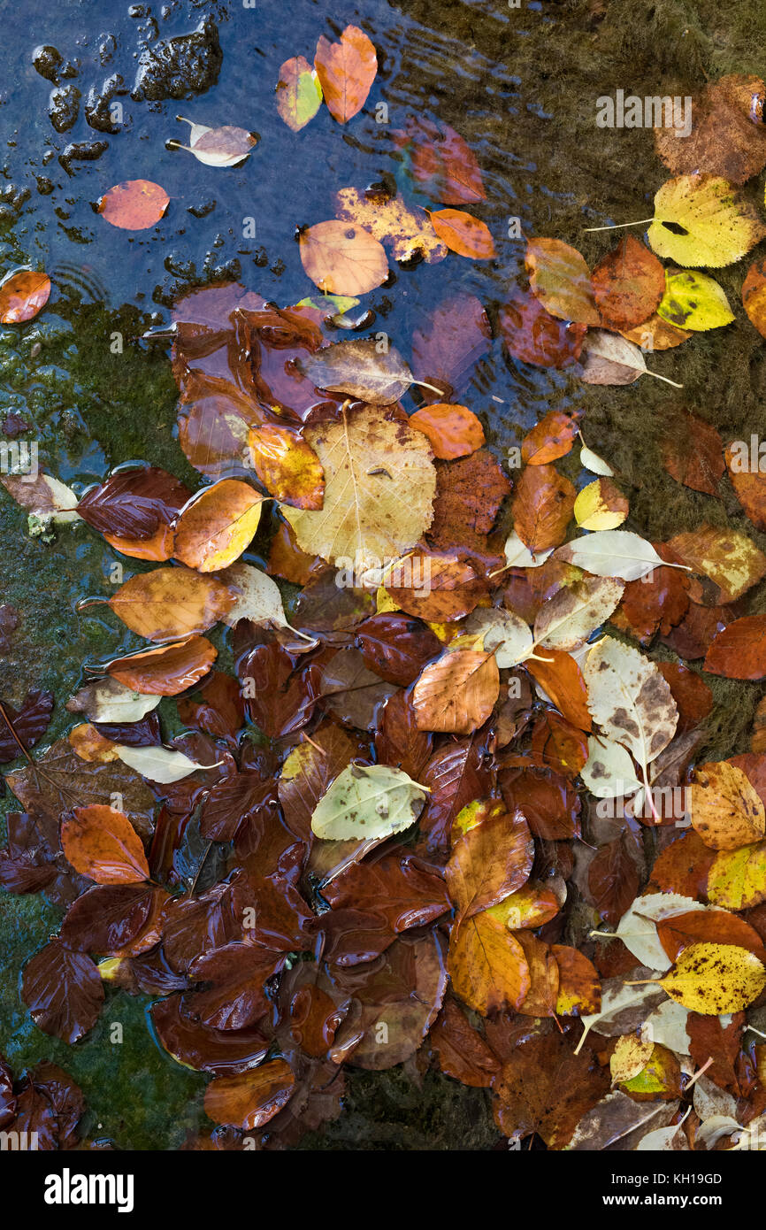Floating patterns hi-res stock photography and images - Alamy