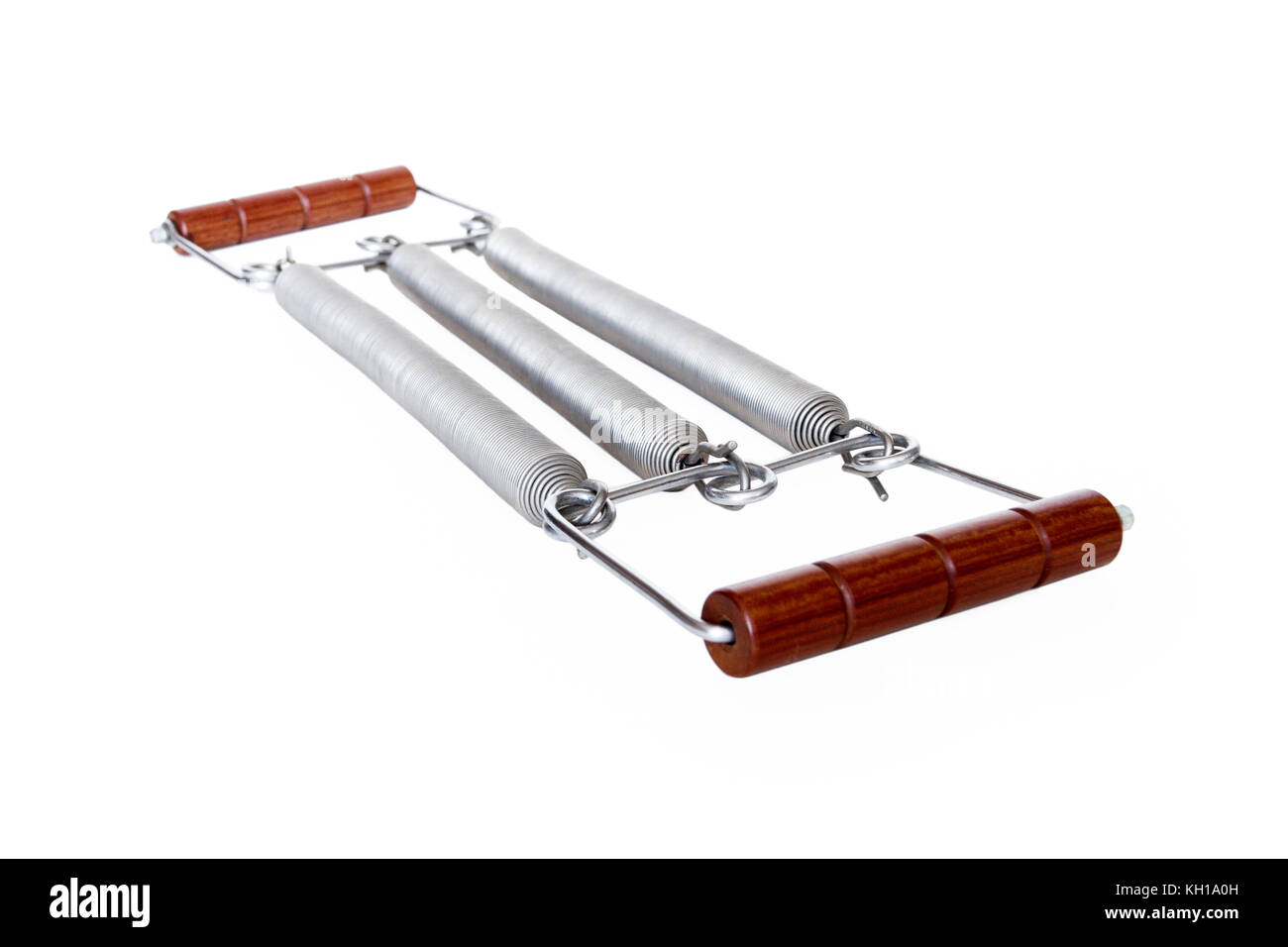 Chest Expander Springs at Noah Weber blog