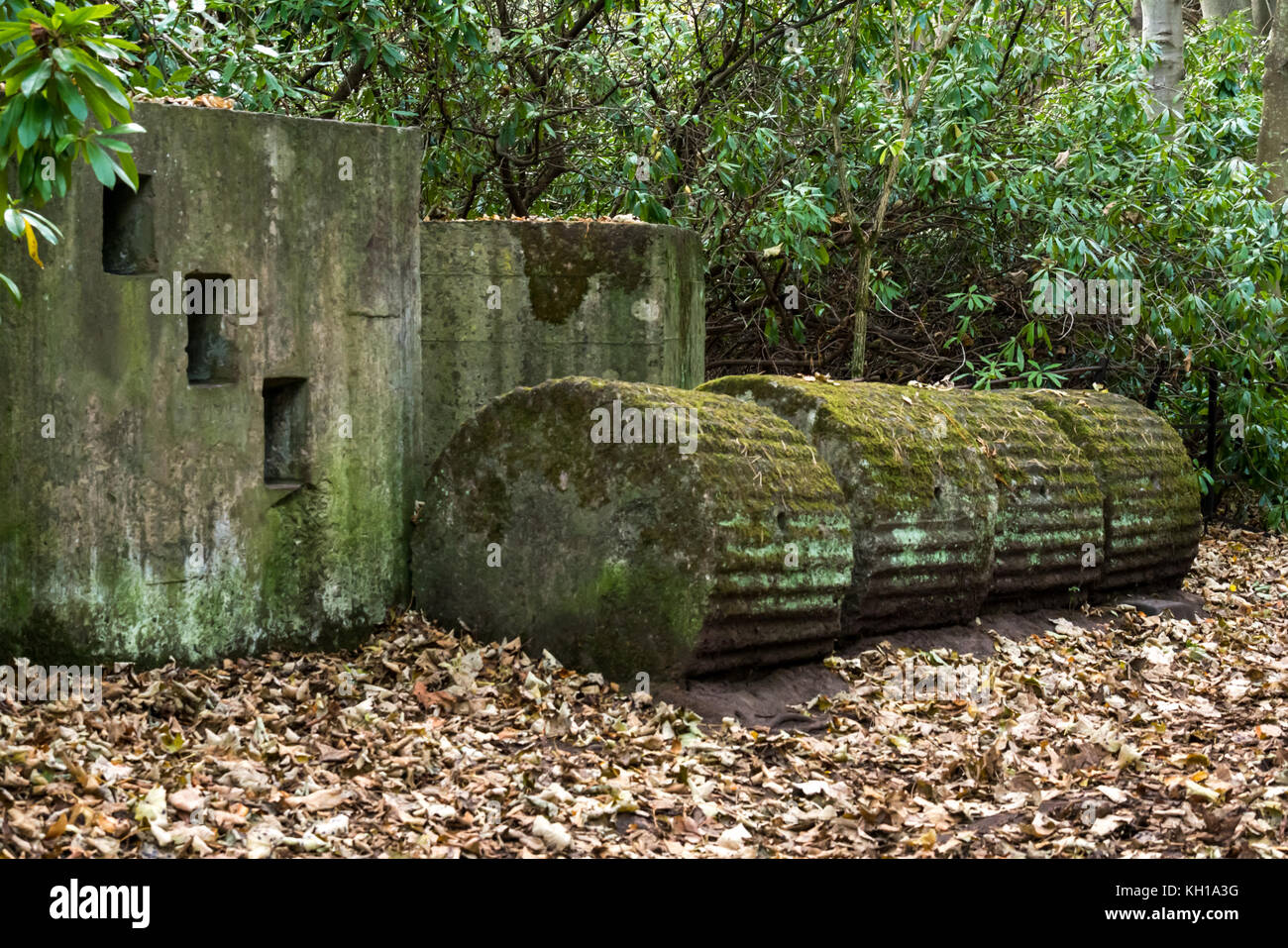 Ww Ii Relics High Resolution Stock Photography and Images - Alamy