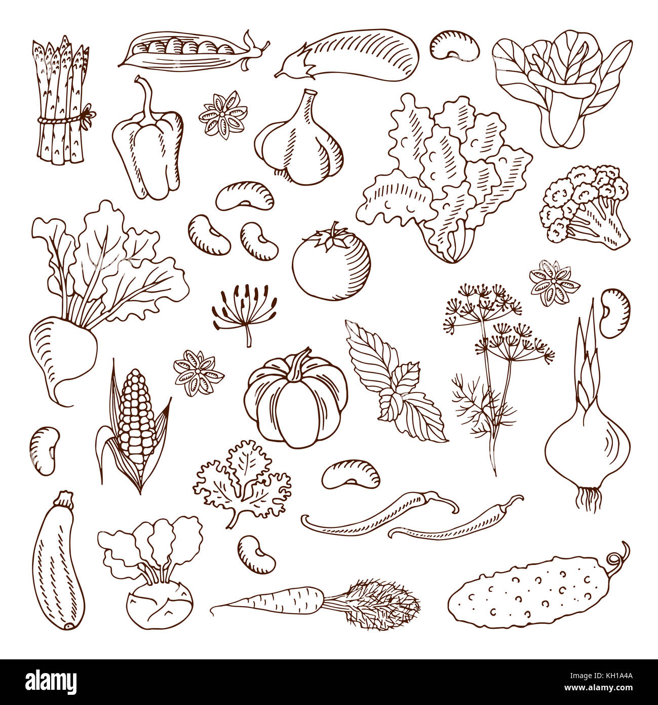 Vegetable Cartoon Outline