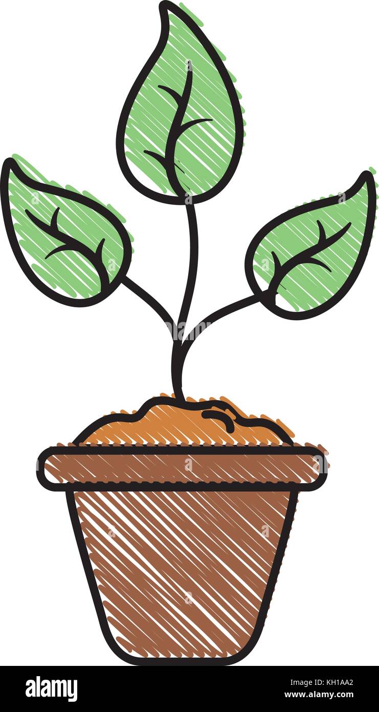 Isolated plant design Stock Vector Image & Art - Alamy