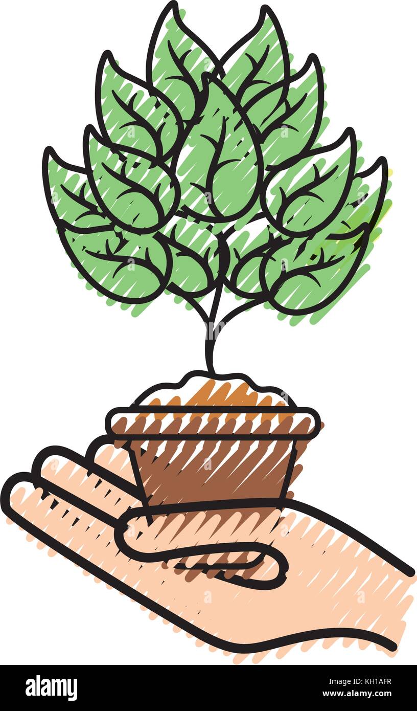 Isolated plant design Stock Vector Image & Art - Alamy