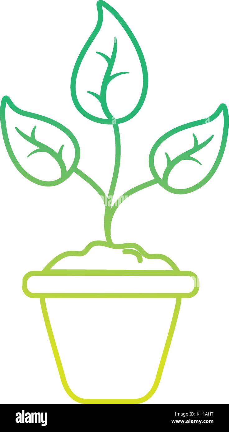 Isolated plant design Stock Vector Image & Art - Alamy