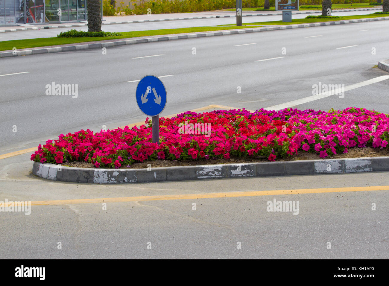 Road sign arrow. Fork junction traffic sign on road with flowerbed ...