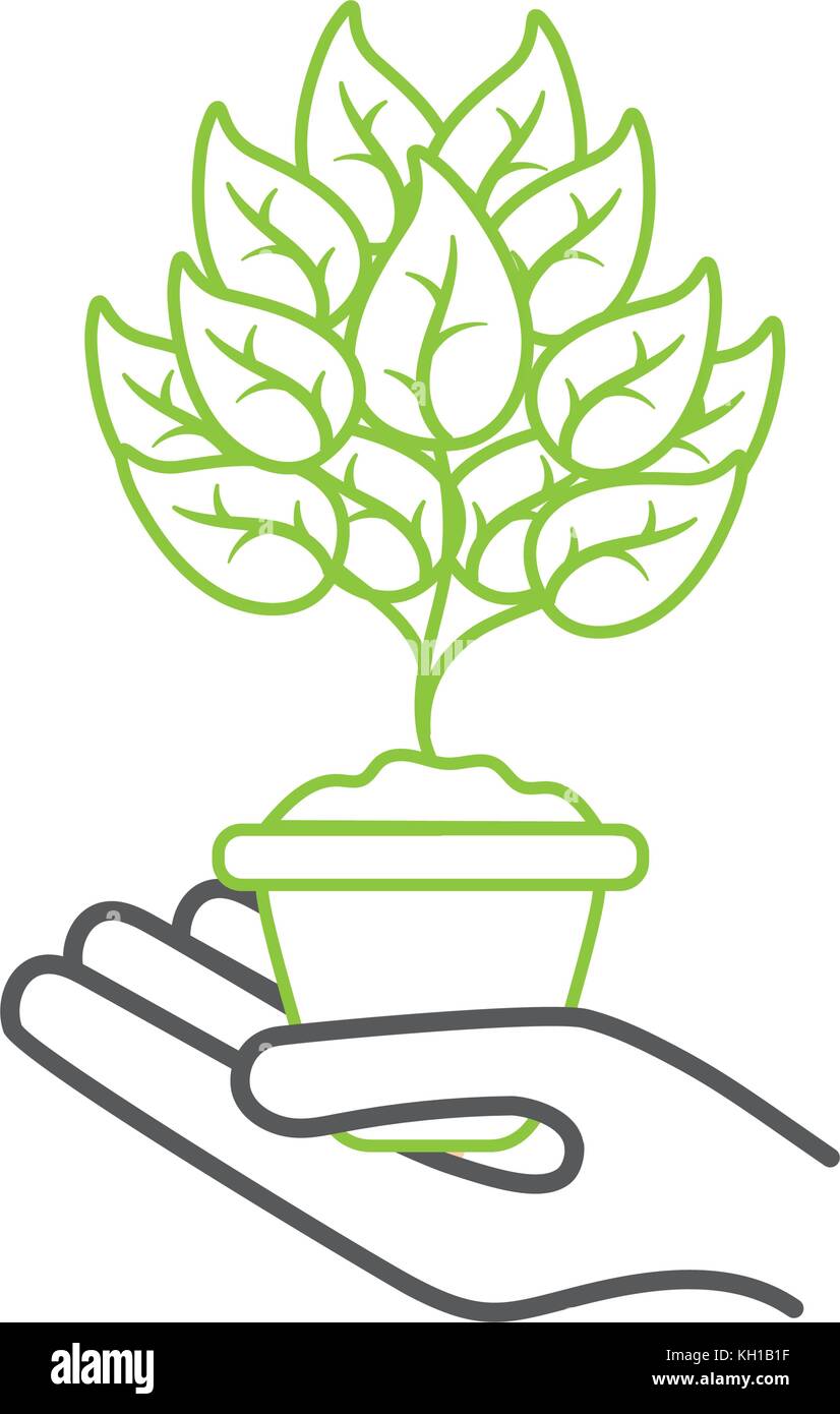 Isolated plant design Stock Vector Image & Art - Alamy