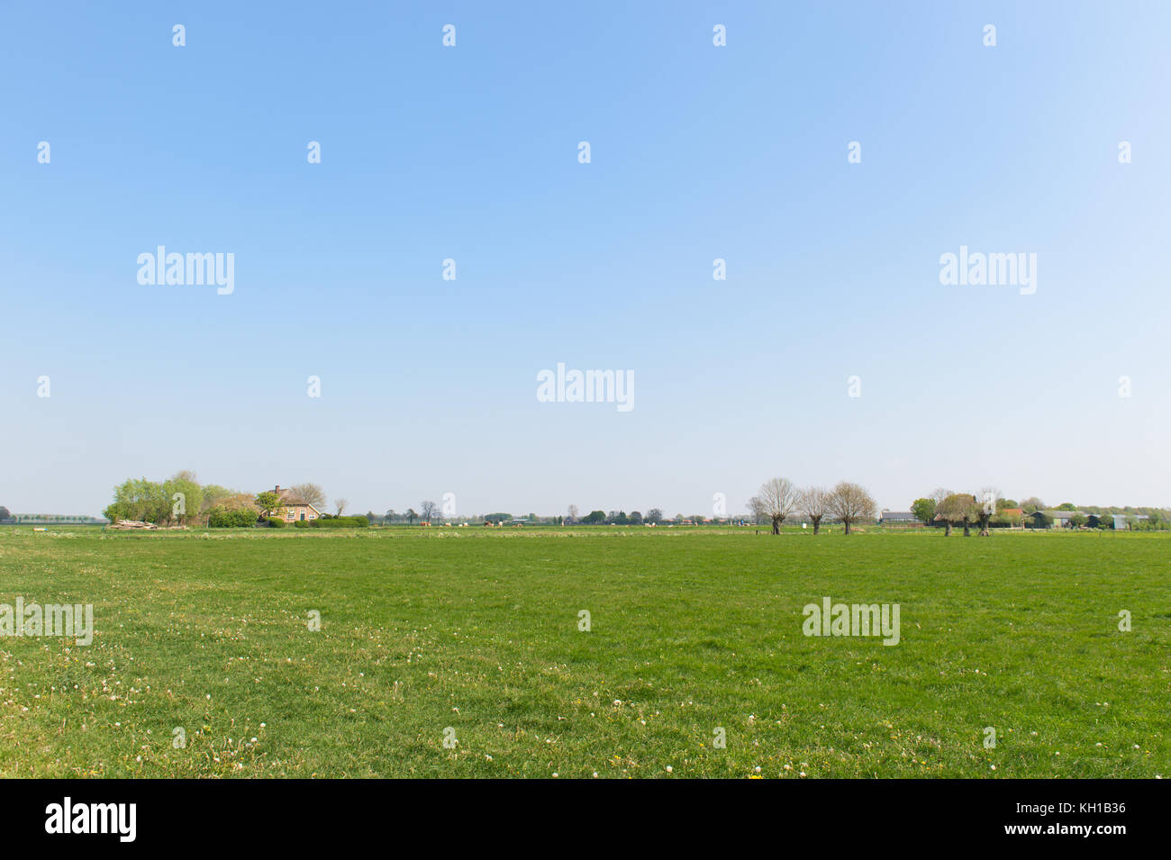 Typical Dutch flat landscape with meadows and horizon Stock Photo - Alamy