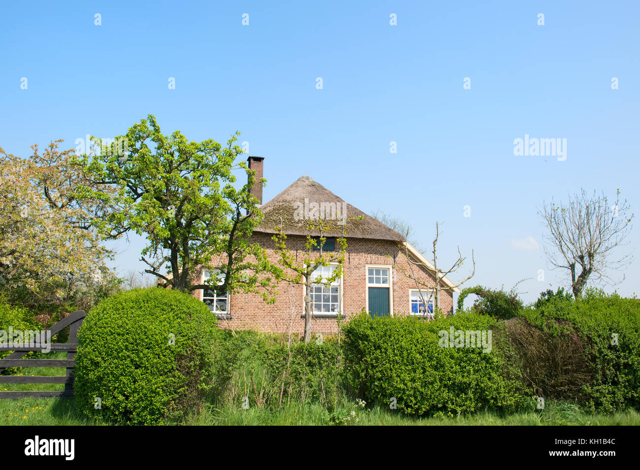 Typical old Dutch farmhouse with straw roof Stock Photo - Alamy