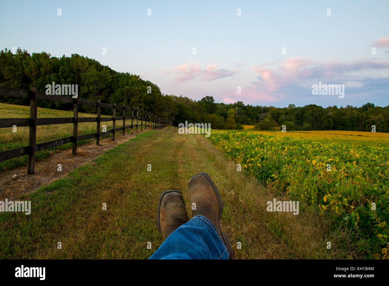 Watching the sunset on the farm Stock Photo - Alamy