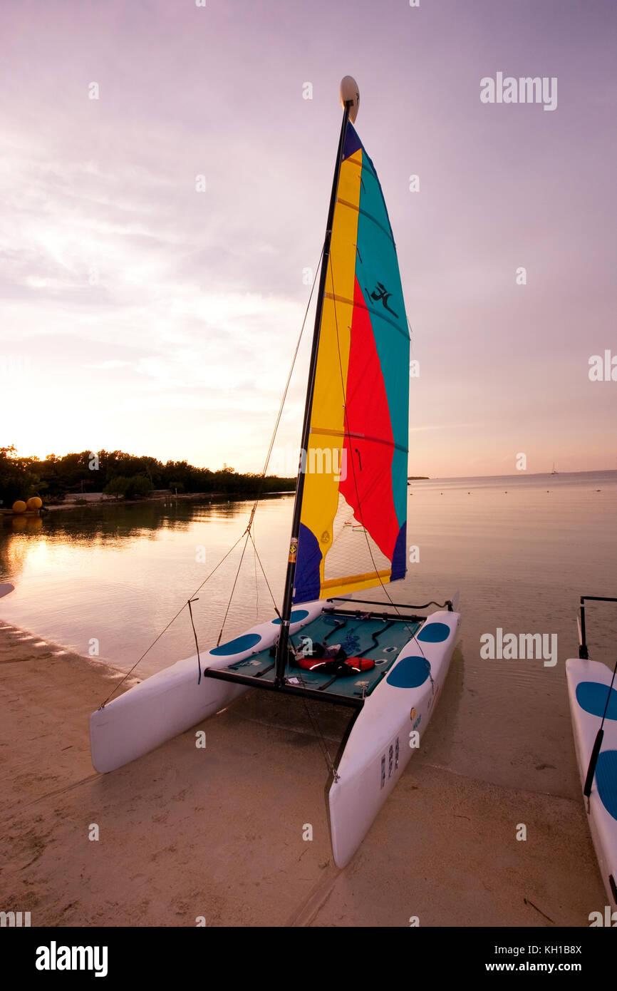 Hobie Cat sailboat, Islamorada, Florida Stock Photo - Alamy