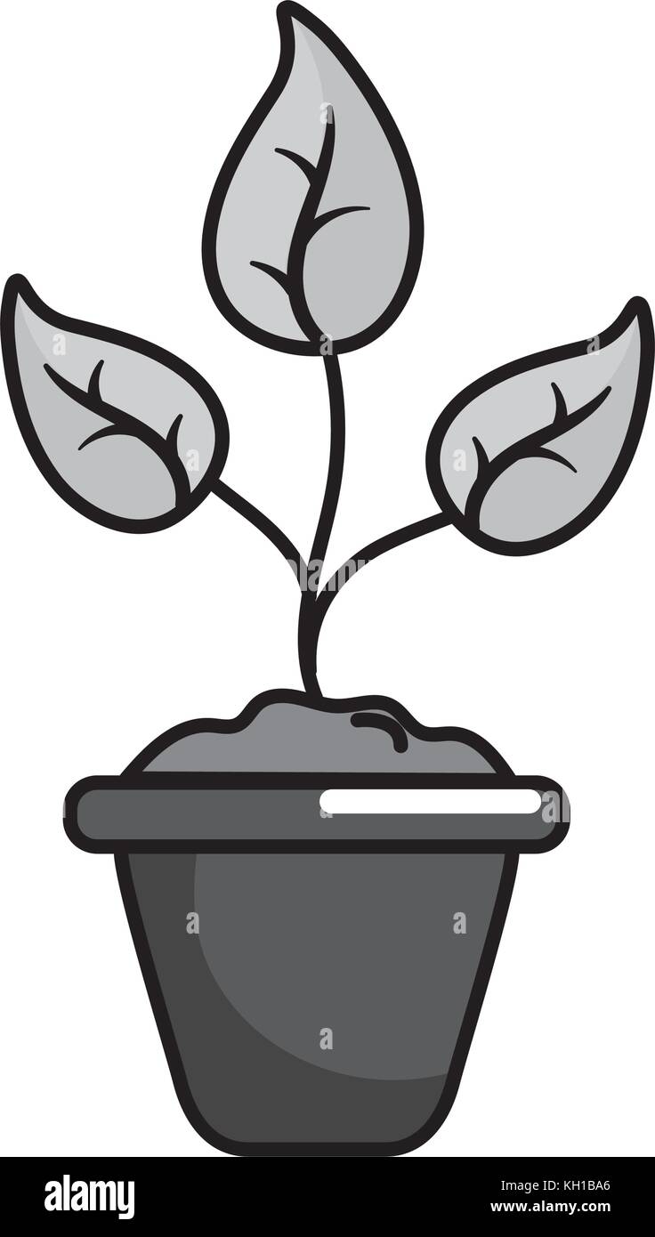 Isolated plant design Stock Vector Image & Art - Alamy