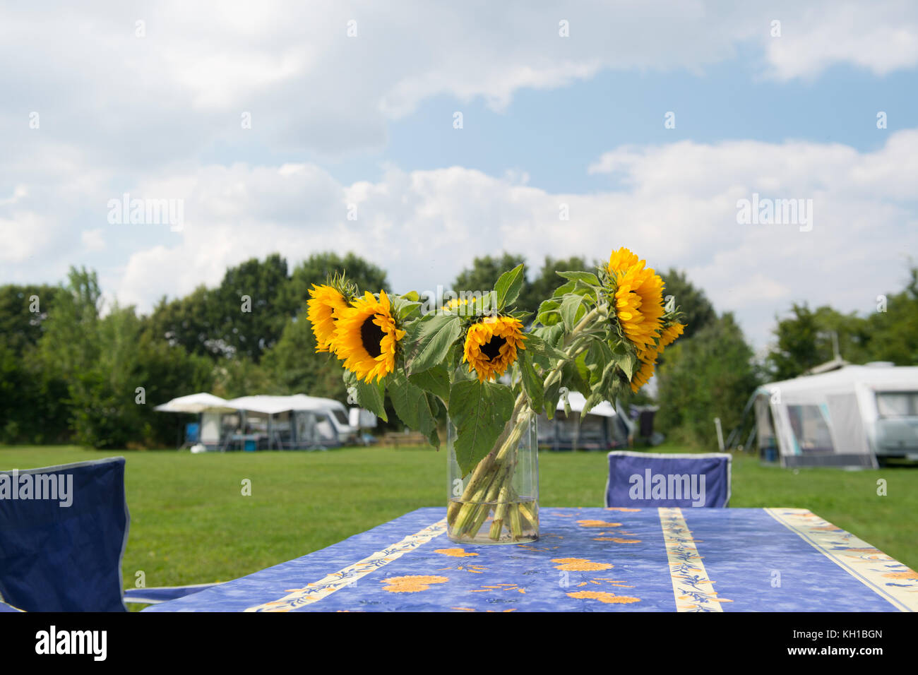 Dutch netherlands sunflowers hi-res stock photography and images - Alamy