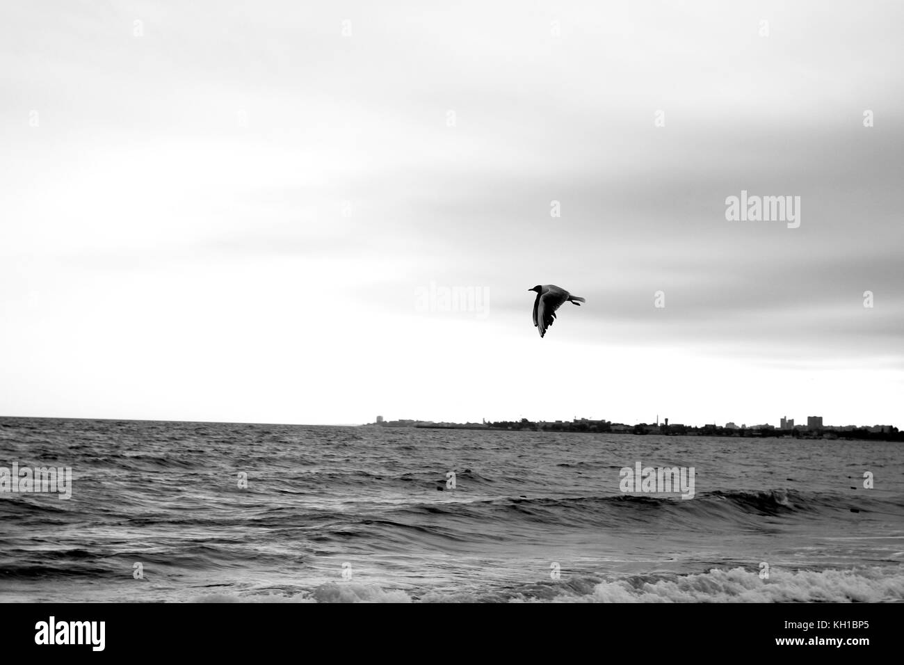 Beautiful view caribbean sea beach Black and White Stock Photos ...