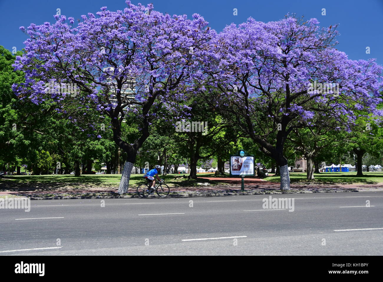 Buenos aires and argentina and bicycle hi-res stock photography and ...