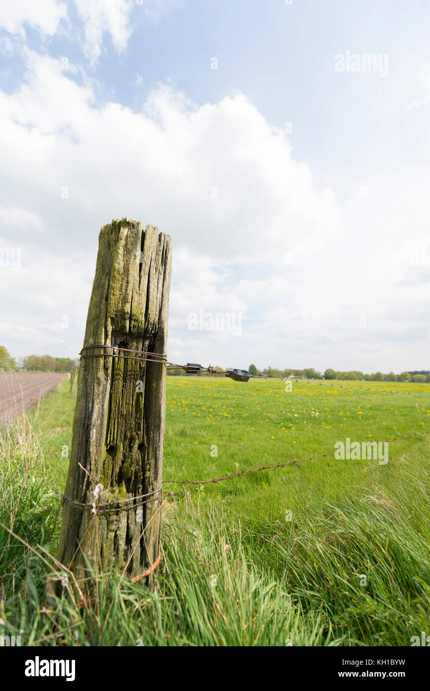 Rotten wooden pole hi-res stock photography and images - Alamy