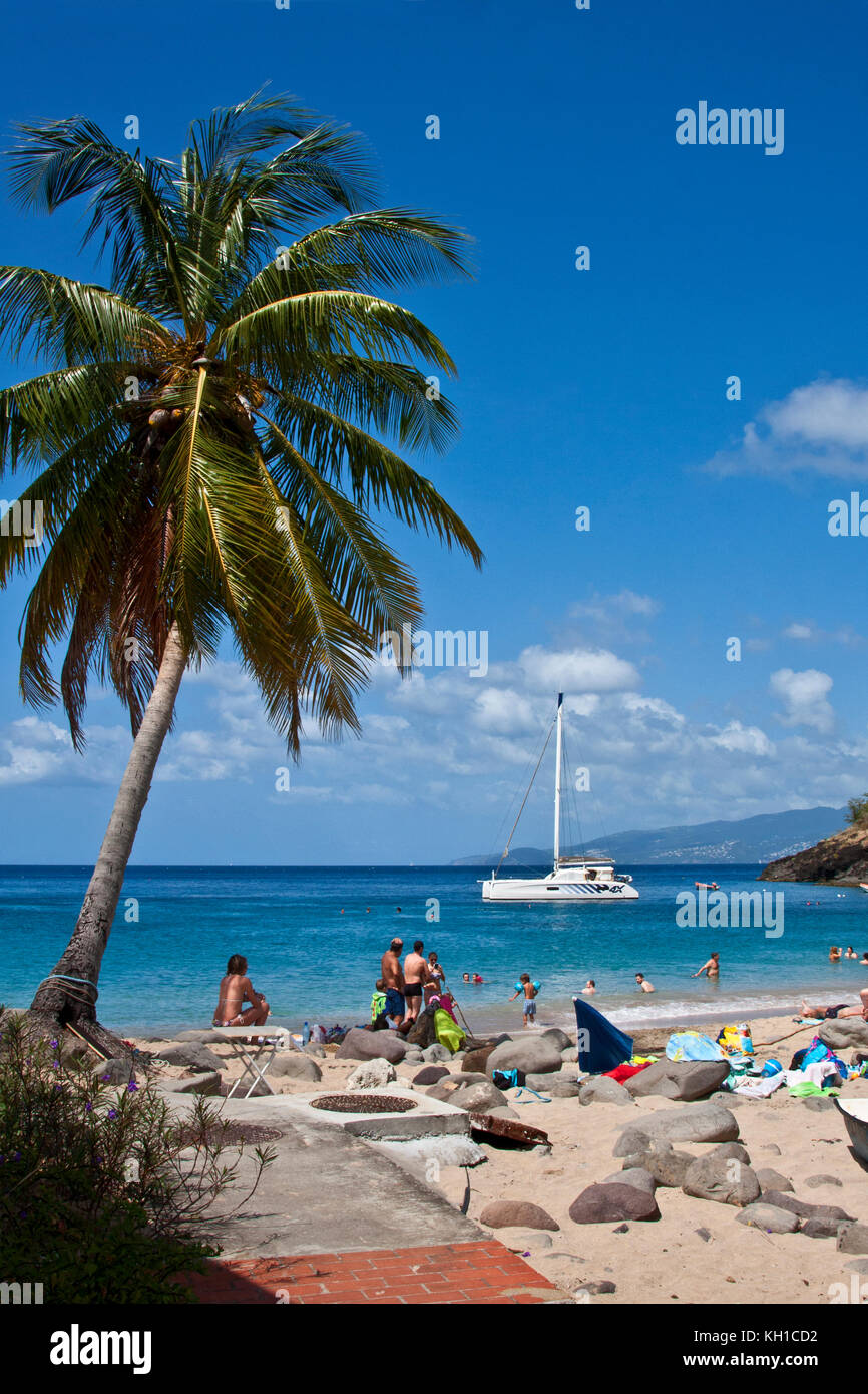 Martinique beaches hi-res stock photography and images - Alamy