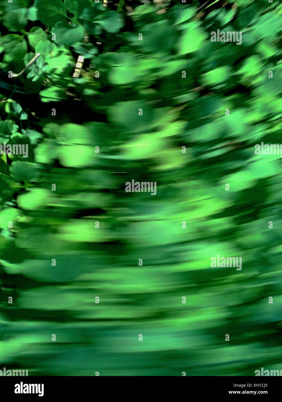 Pfoto is taken as you see. Distortion is made with a camera, slowly ...