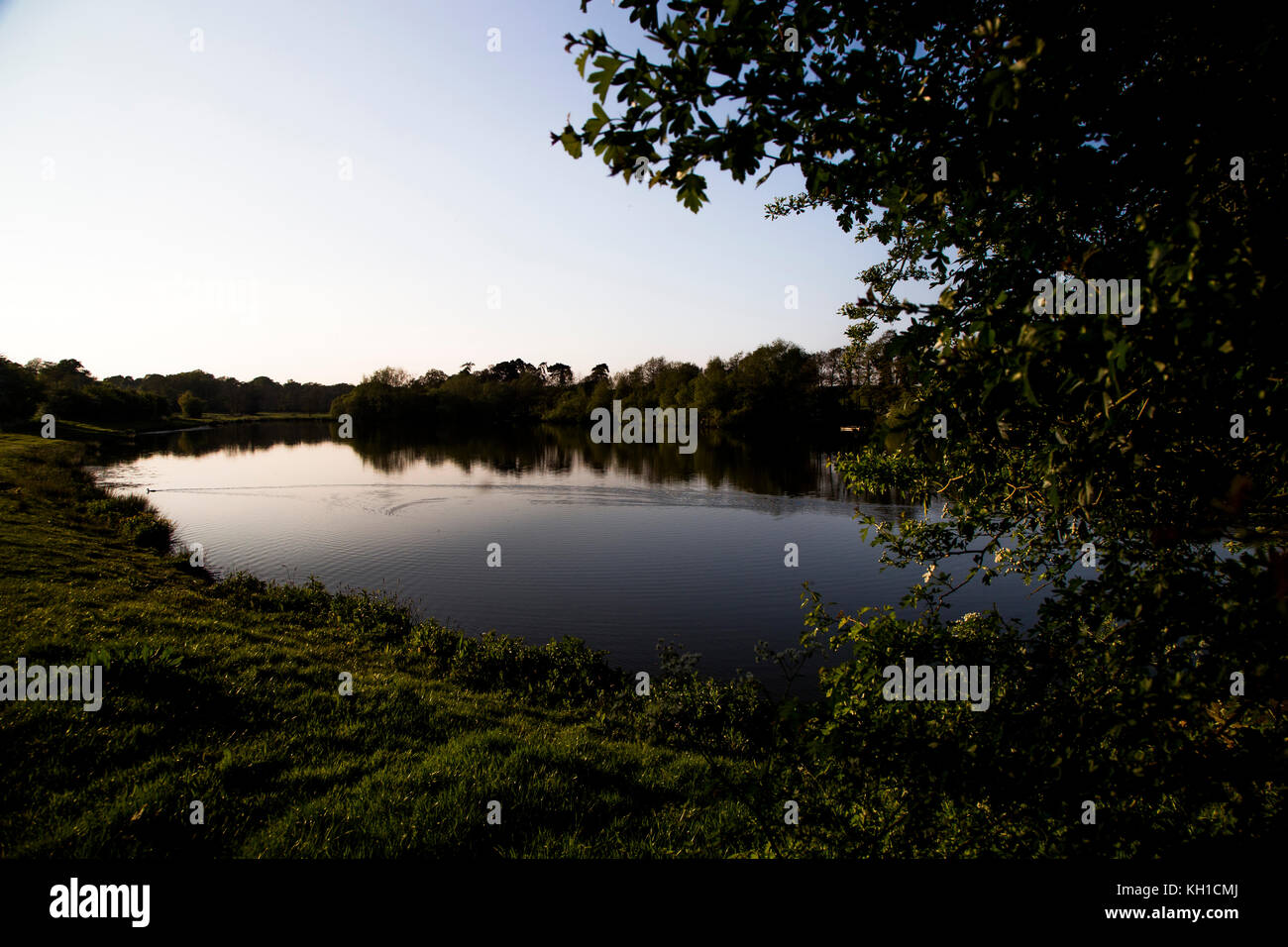 The Mill Pond, near Tarporley in Cheshire and its reflection in early ...