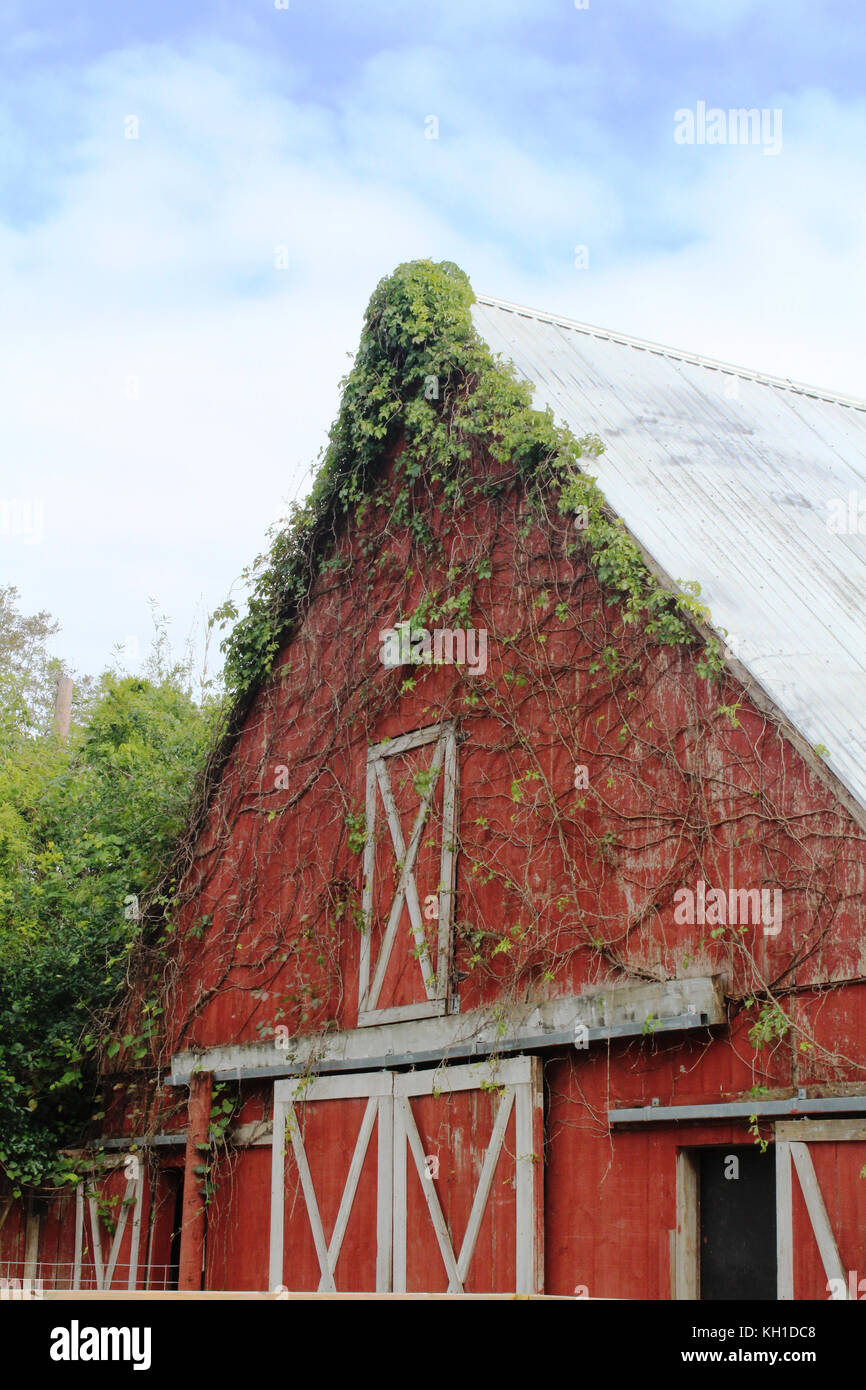 Spooky Old Red Barn Stock Photo - Alamy