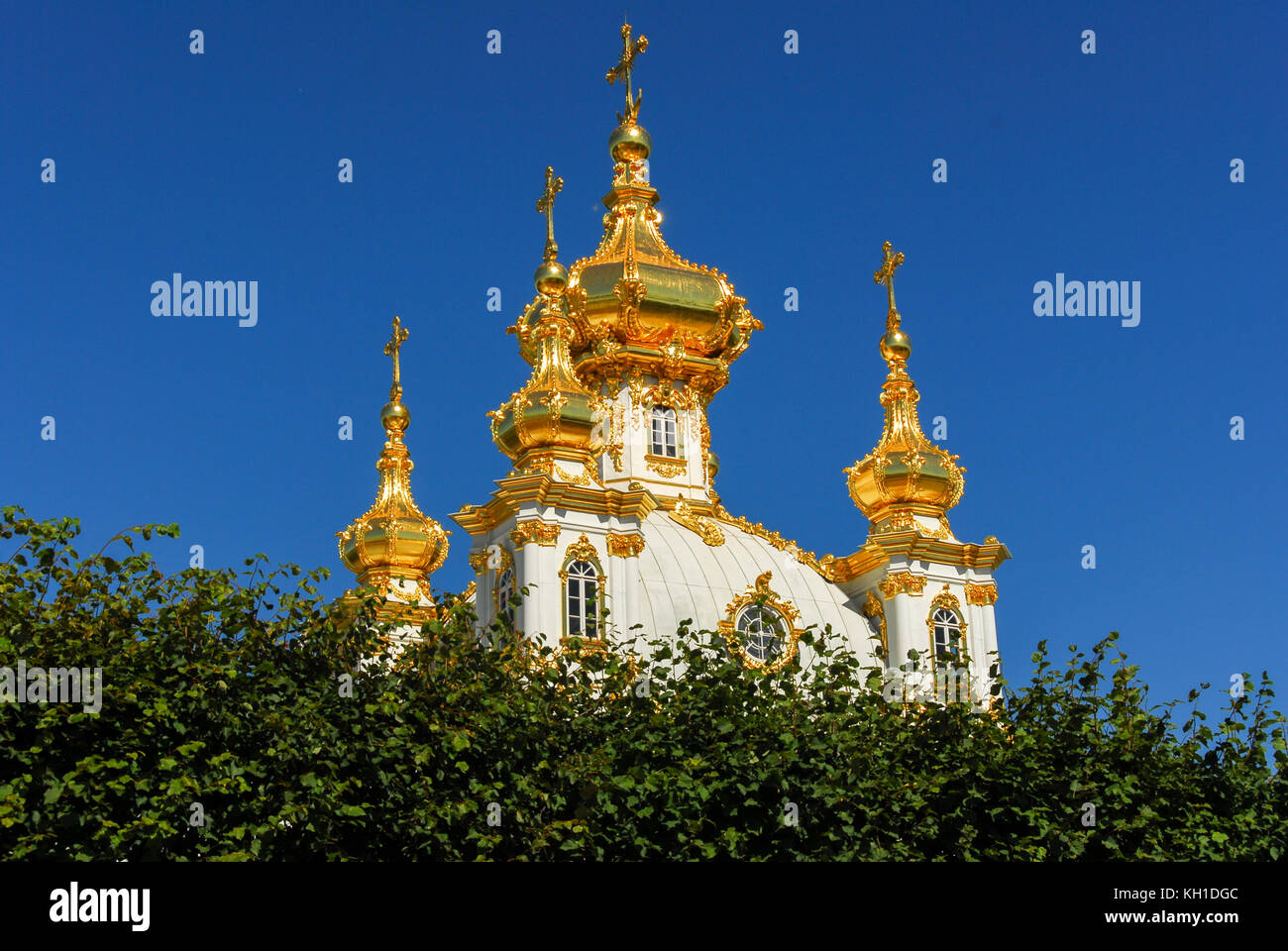 The Peterhoff Palace in St. Petersburg, Russia Stock Photo - Alamy
