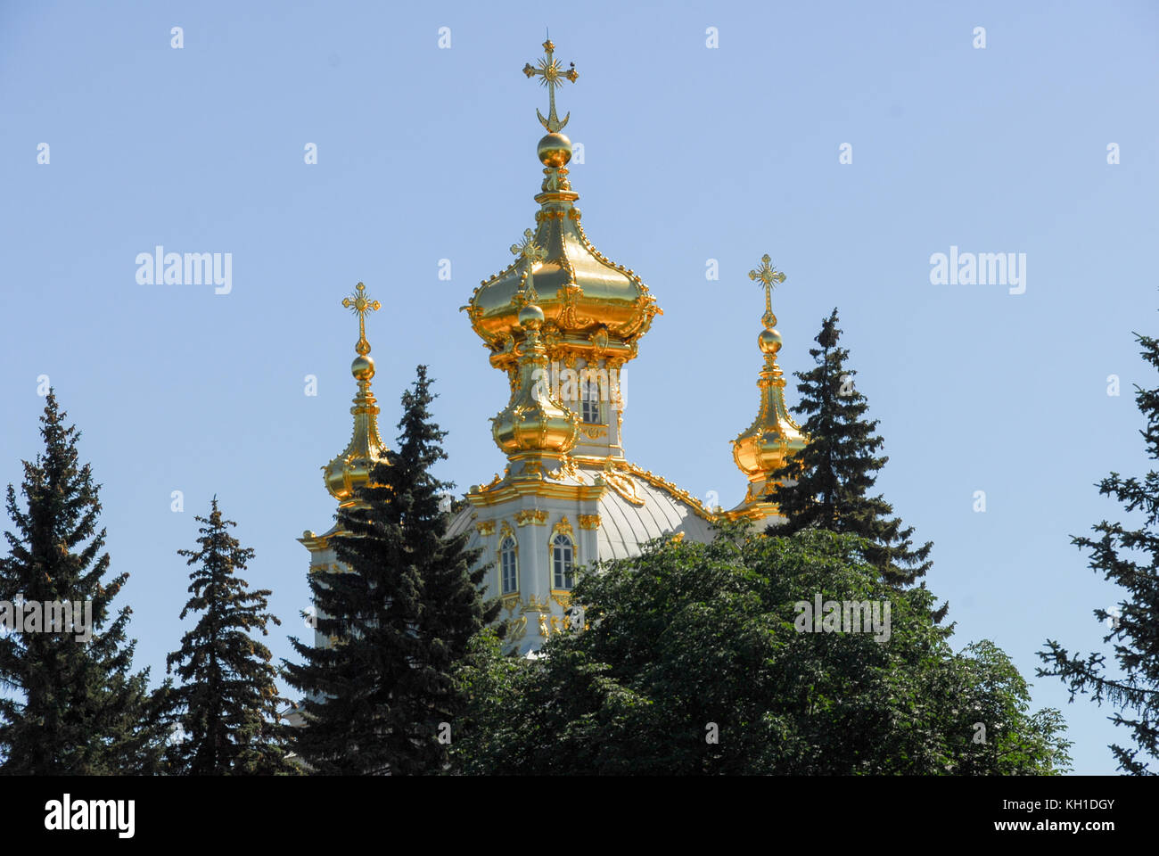 The Peterhoff Palace in St. Petersburg, Russia Stock Photo - Alamy