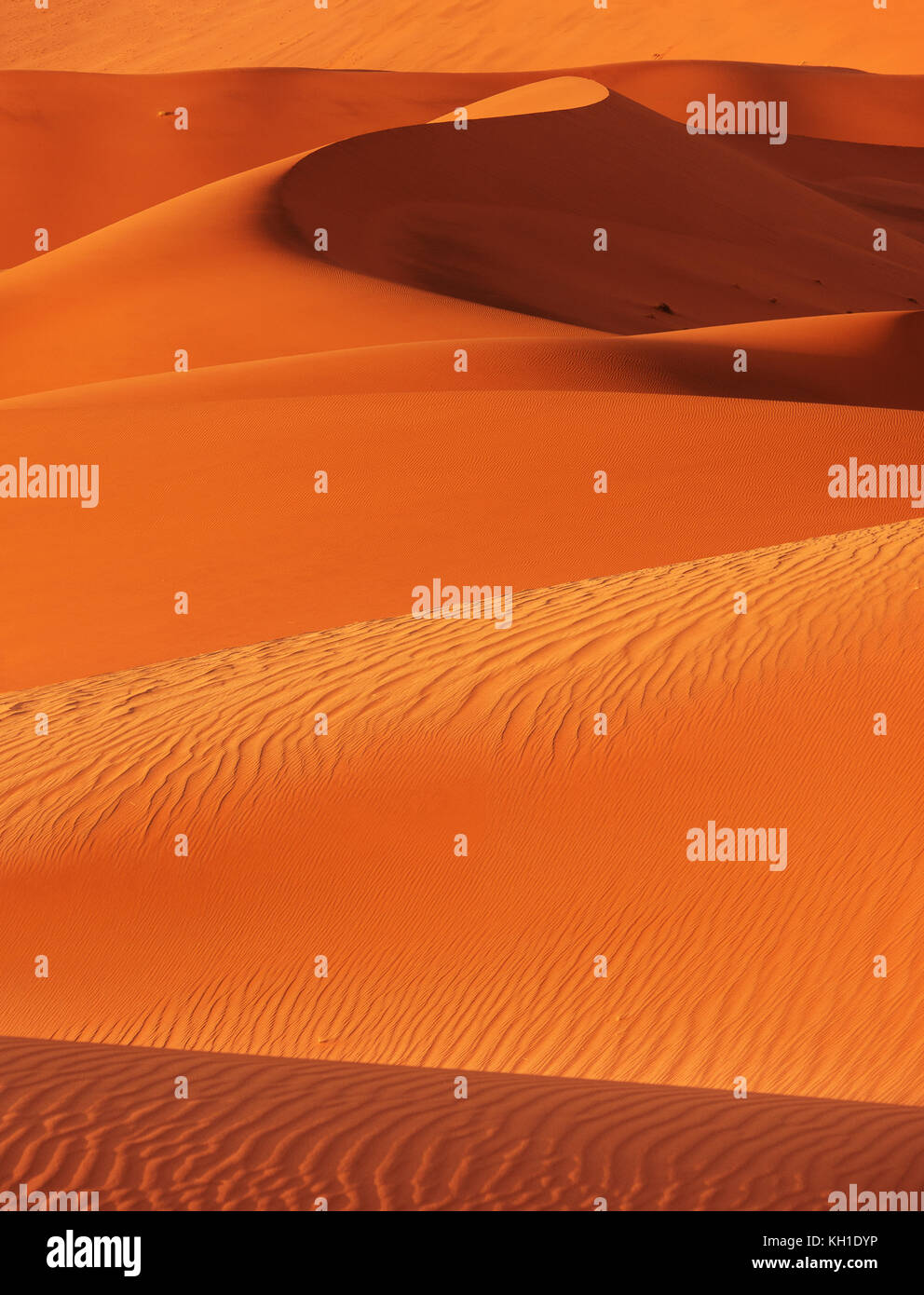 Vertical view of lines, curves, shapes, ridges, shadows and textures of ...