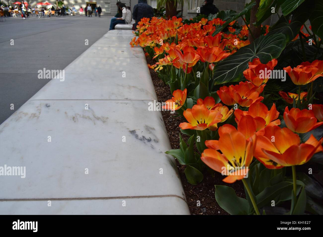 The iconic Atrium at the National Portrait Gallery Smithsonian Museum ...