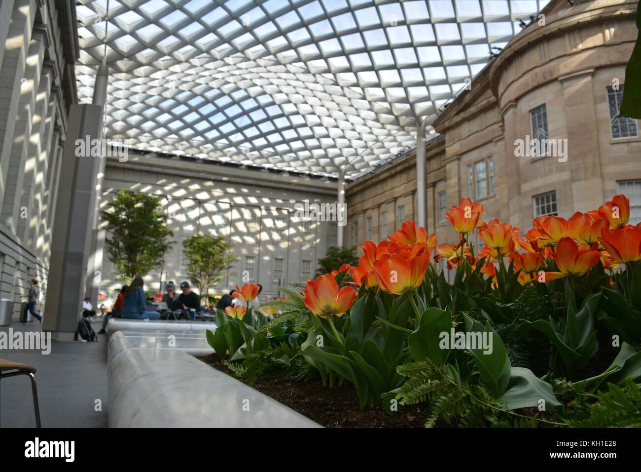 The iconic Atrium at the National Portrait Gallery Smithsonian Museum ...