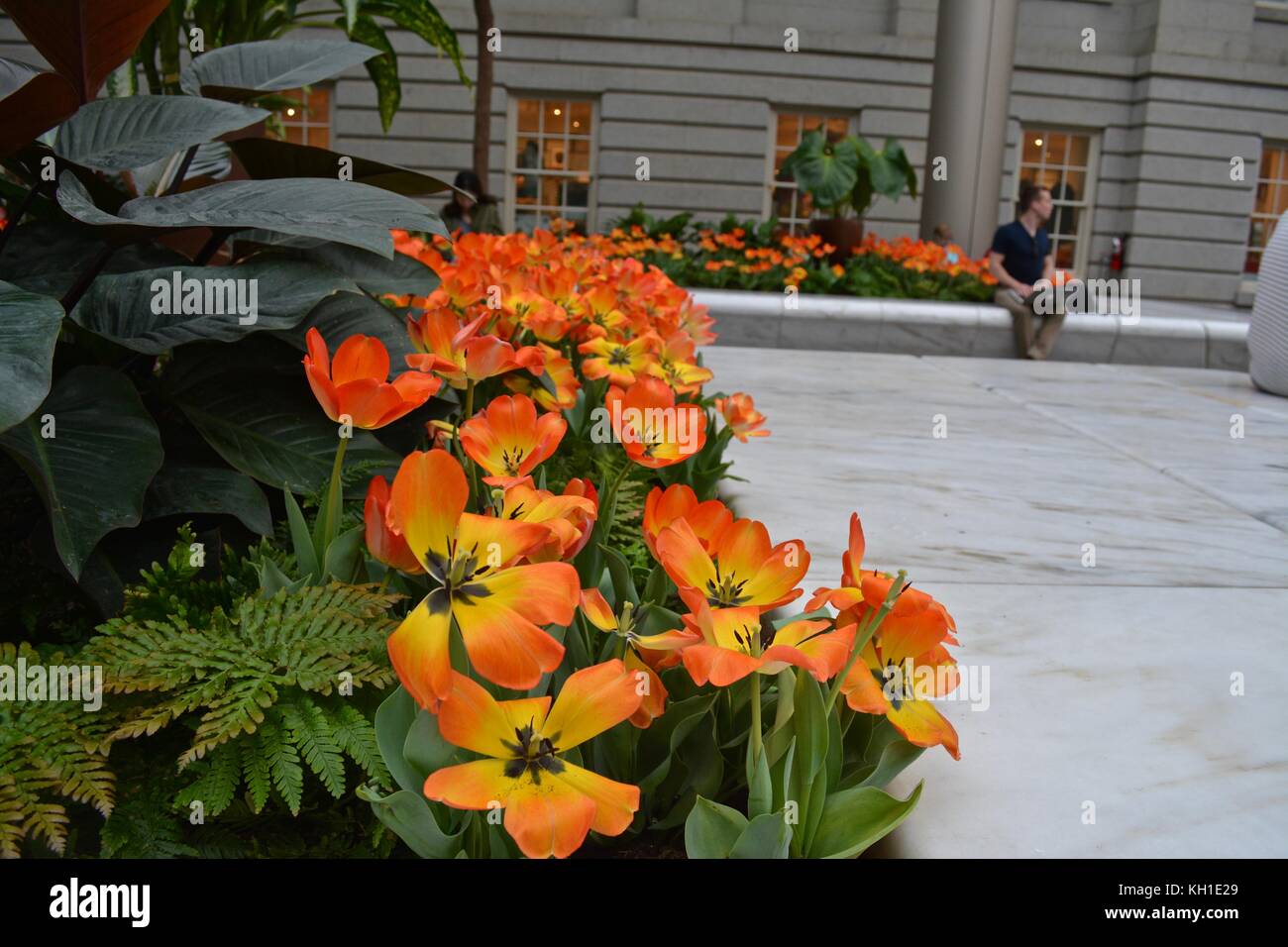 The iconic Atrium at the National Portrait Gallery Smithsonian Museum ...