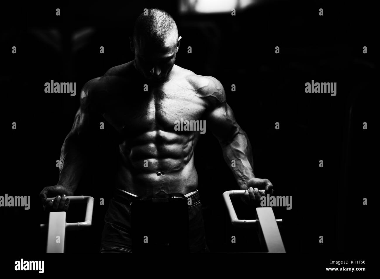 Bodybuilder Doing Heavy Weight Exercise For Trapezius On Machine Stock ...