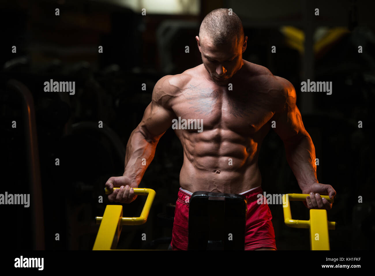 Bodybuilder Doing Heavy Weight Exercise For Trapezius On Machine Stock ...