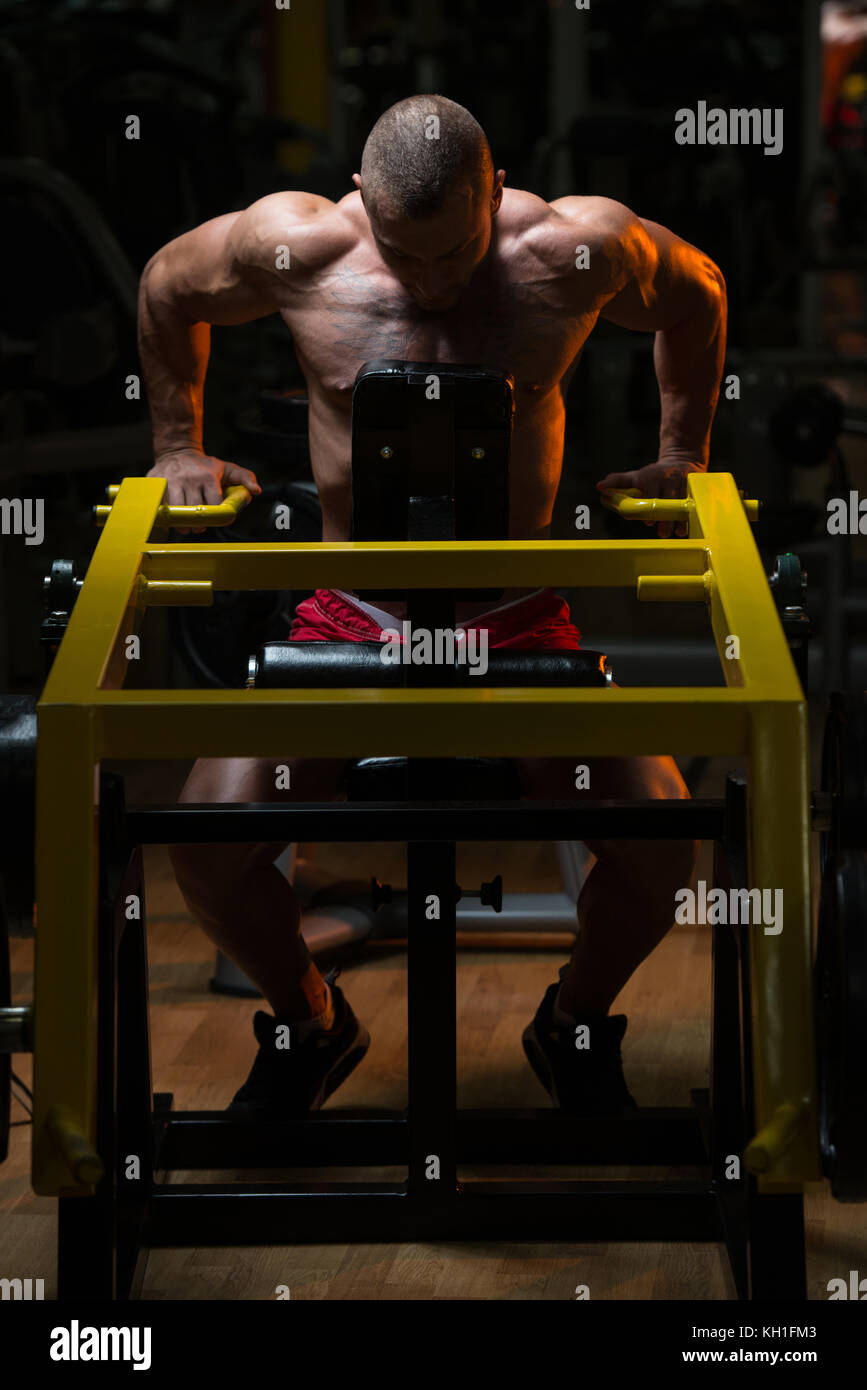 Bodybuilder Doing Heavy Weight Exercise For Trapezius On Machine Stock ...