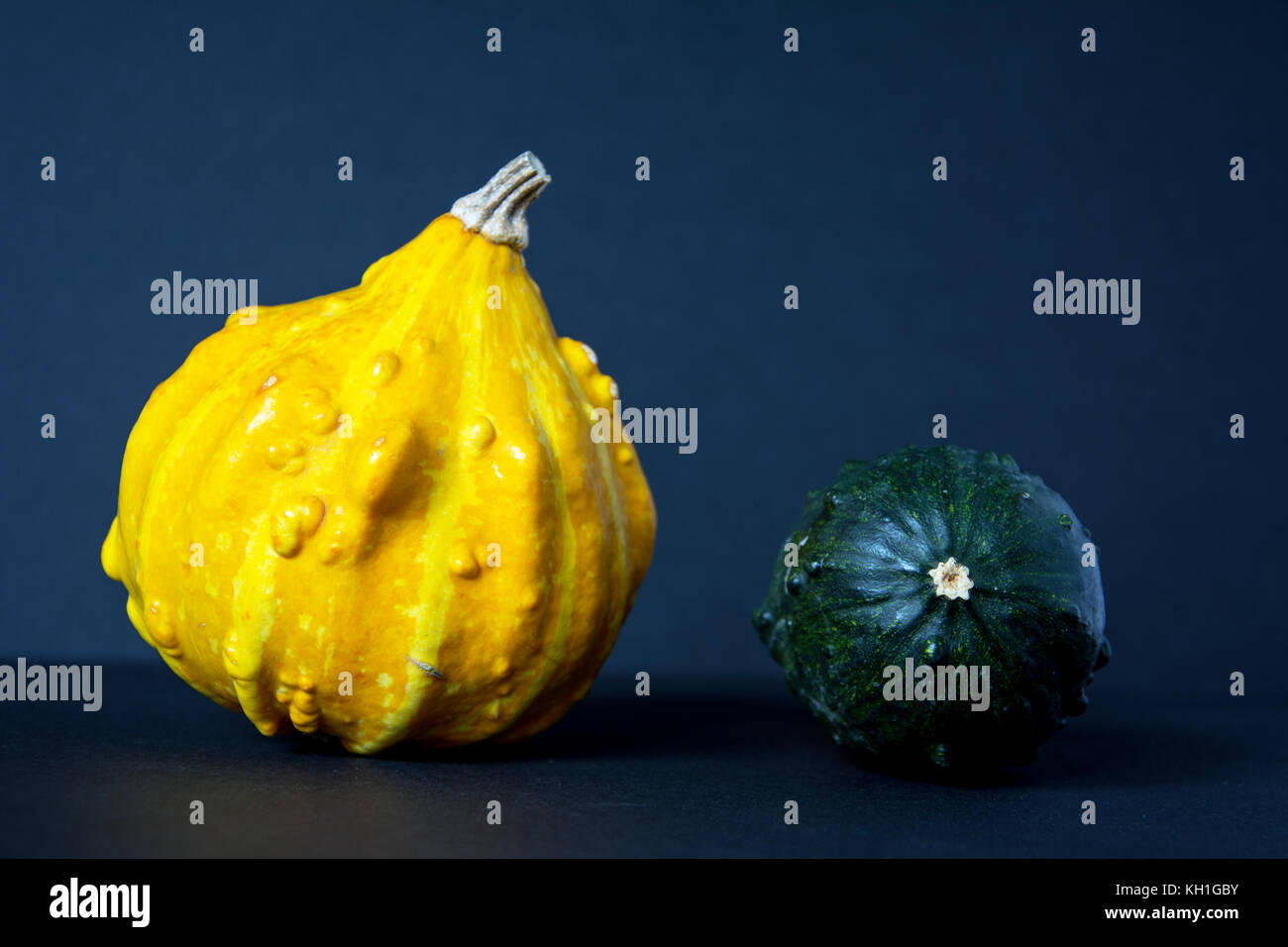 Small, yellow, warty ornamental pumpkin with round, green gourd on ...