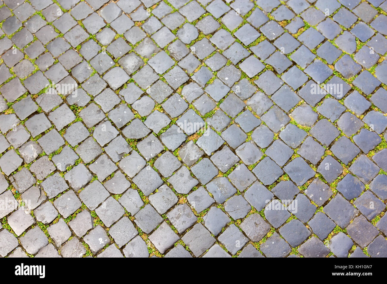 Cobblestone in Rome, Italy Stock Photo - Alamy