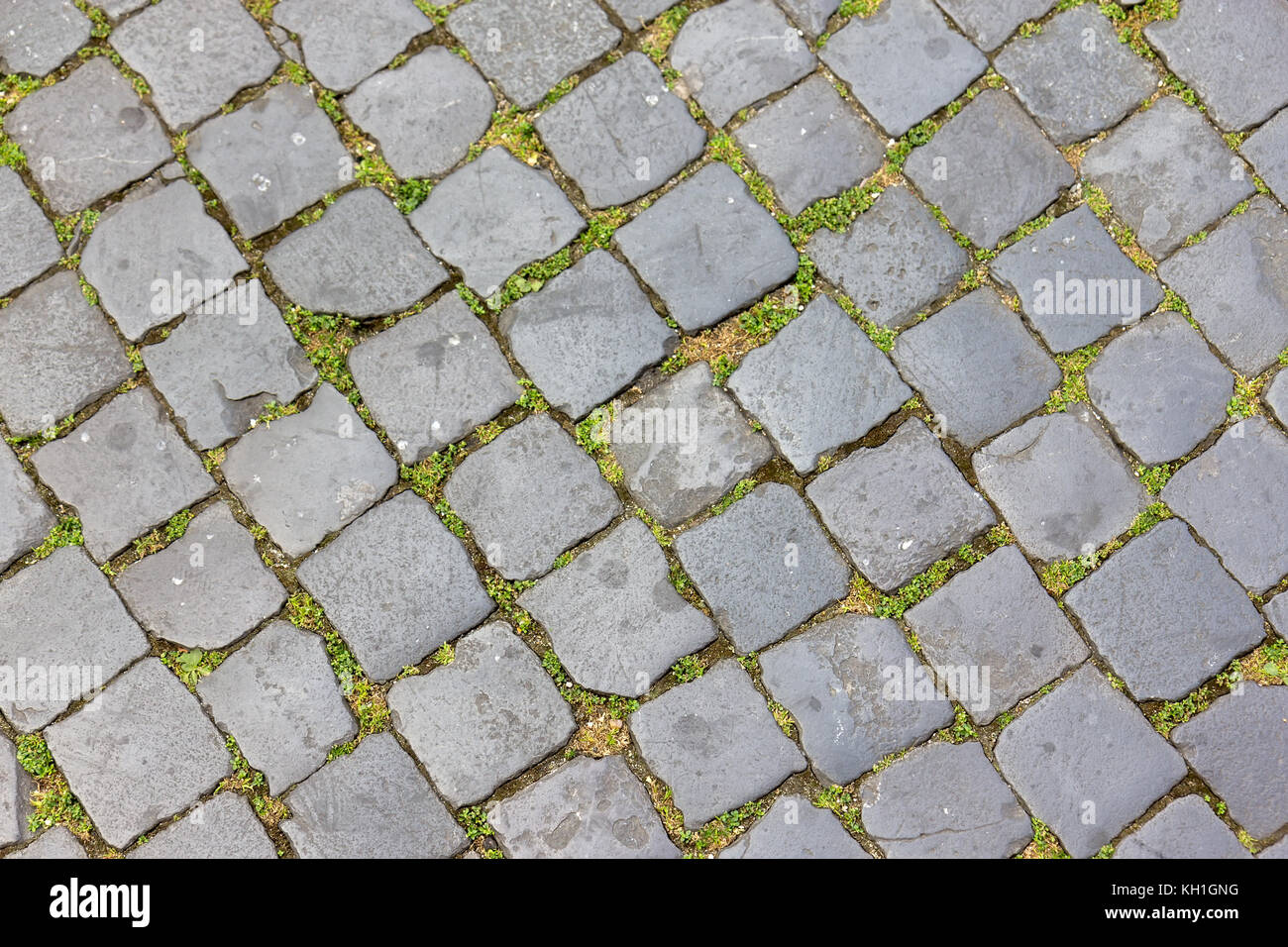 Cobblestone in Rome, Italy Stock Photo - Alamy
