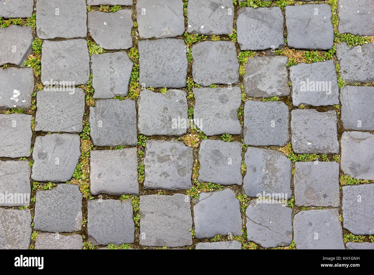 Cobblestone in Rome, Italy Stock Photo - Alamy