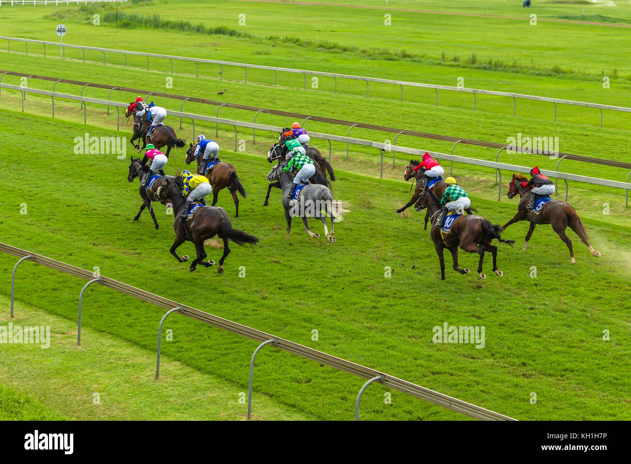 Horse racing closeup overhead photo animal jockey running on grass ...