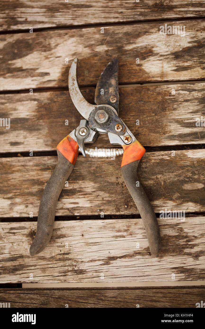 Gardening scissor on the table Stock Photo - Alamy