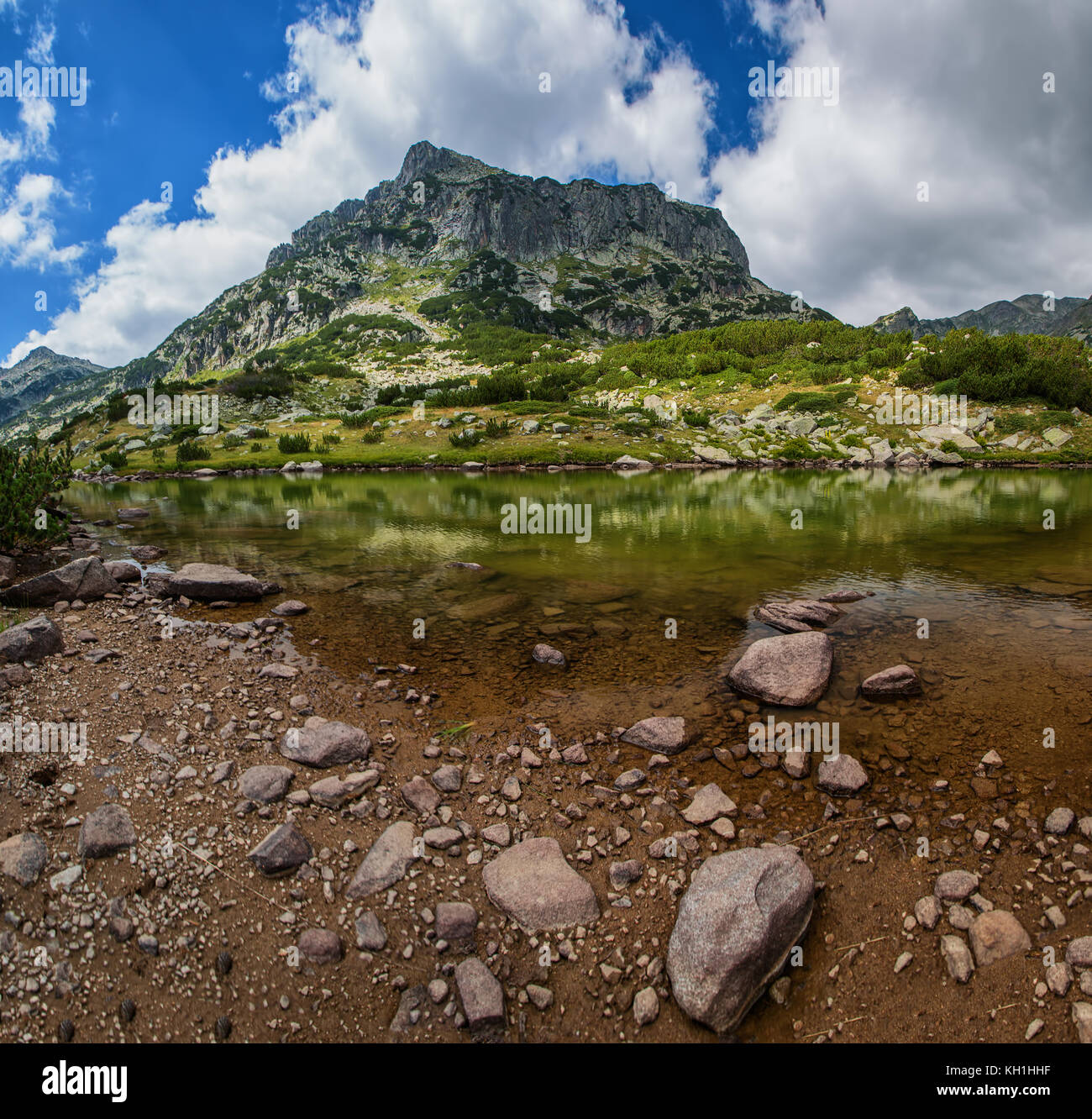 Panoramic shot summer park hi-res stock photography and images - Alamy