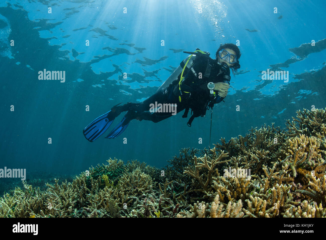 Scuba diver looking up hi-res stock photography and images - Alamy