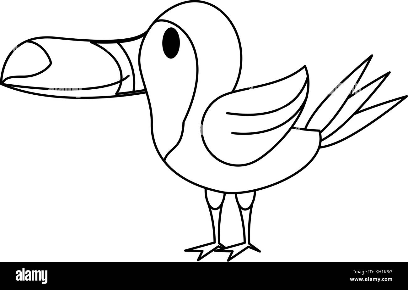 Cute tucano bird Stock Vector Image & Art - Alamy