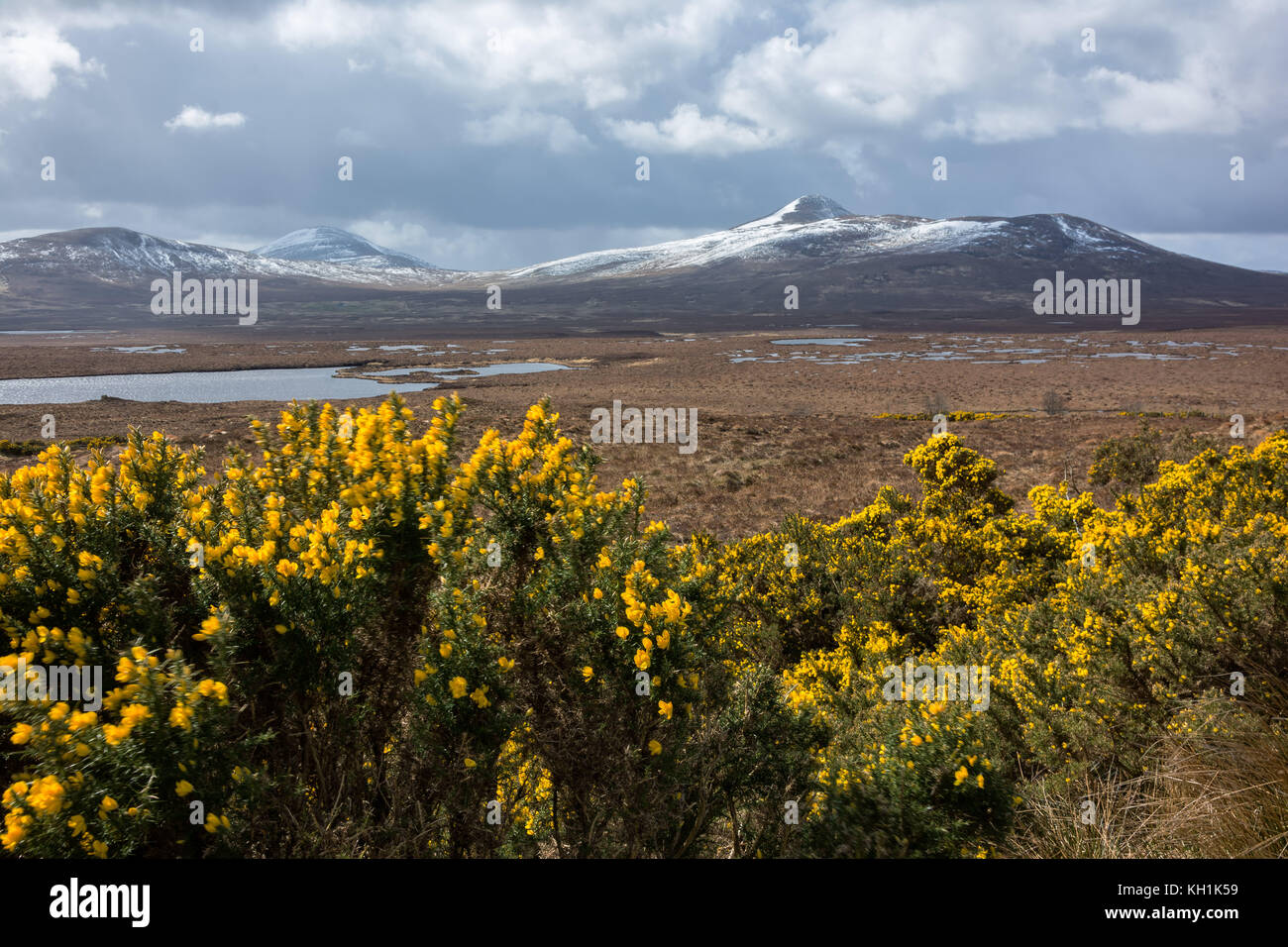 Kinbrace scotland hi-res stock photography and images - Alamy