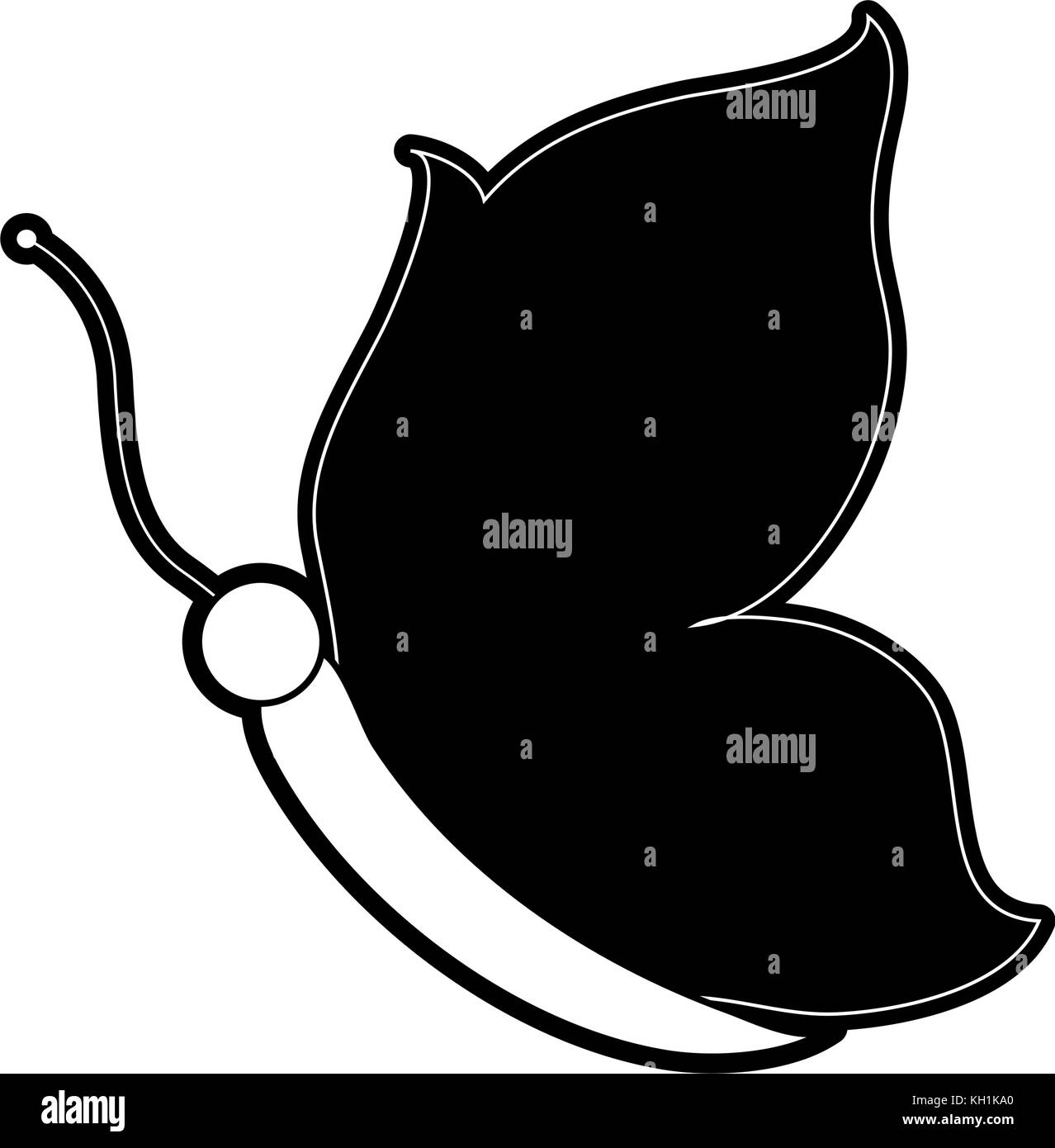 Adorable butterfly Black and White Stock Photos & Images - Alamy