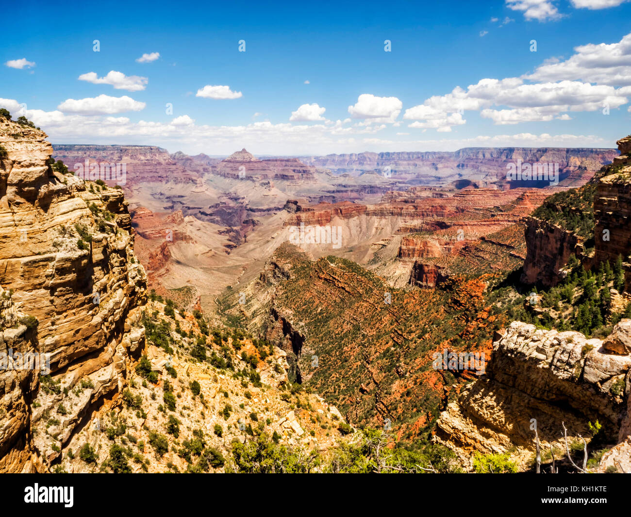 The Skeleton from the Grand View Point - Grand Canyon, South Rim ...